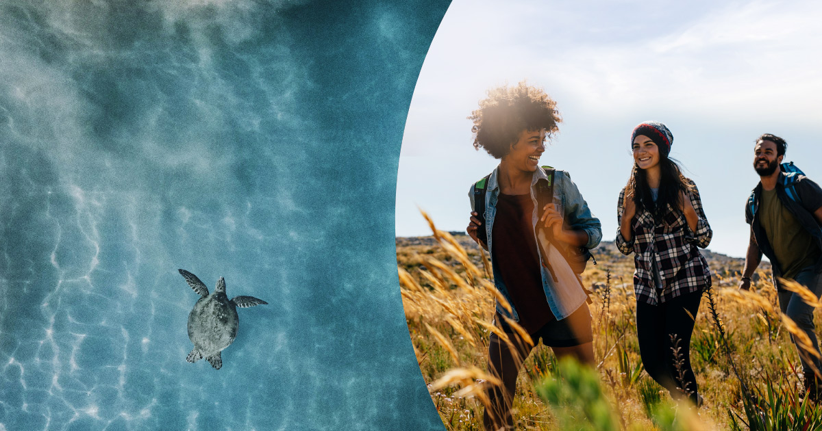 NextWorld: Invested. For life.